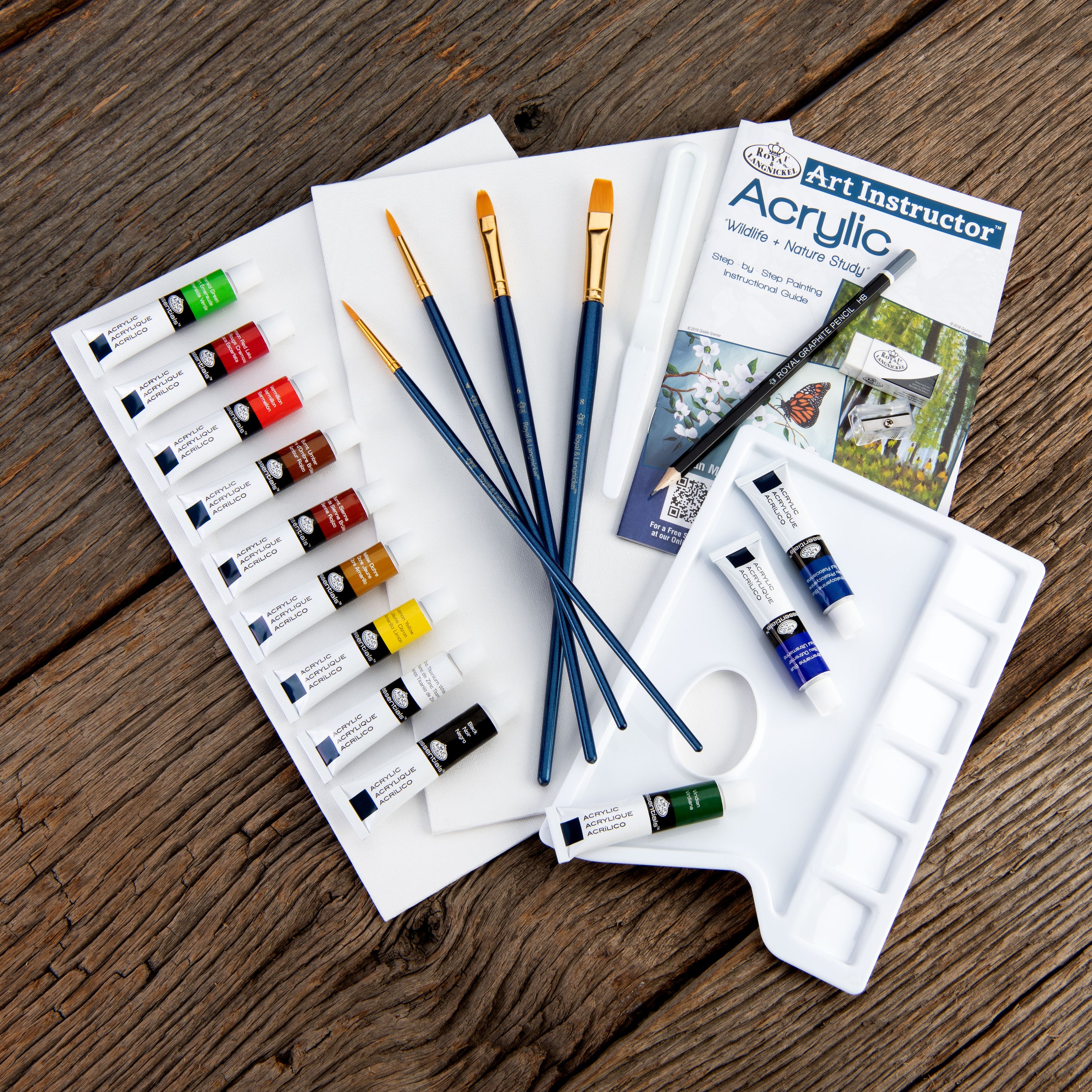 Instructional Art Sets - Royal & Langnickel
