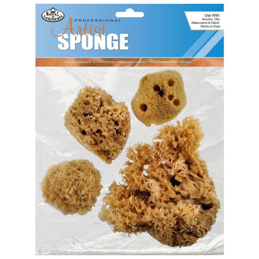 R2093 | 4pc Assorted Sponge Set – Royal & Langnickel
